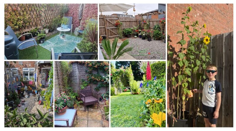 Gardening Competition 2025 | Cornerstone Housing